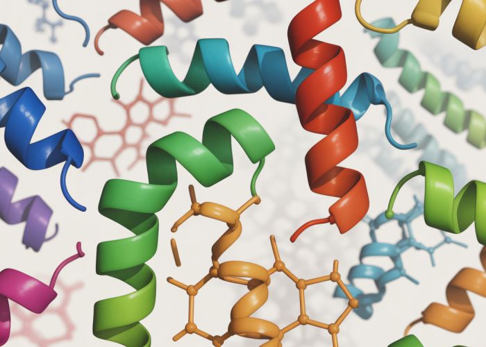 Unlock the Secrets: Polypeptides & Proteins Explained!