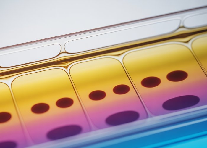 Unlock Secrets: Chromatography Solvent Front Guide!